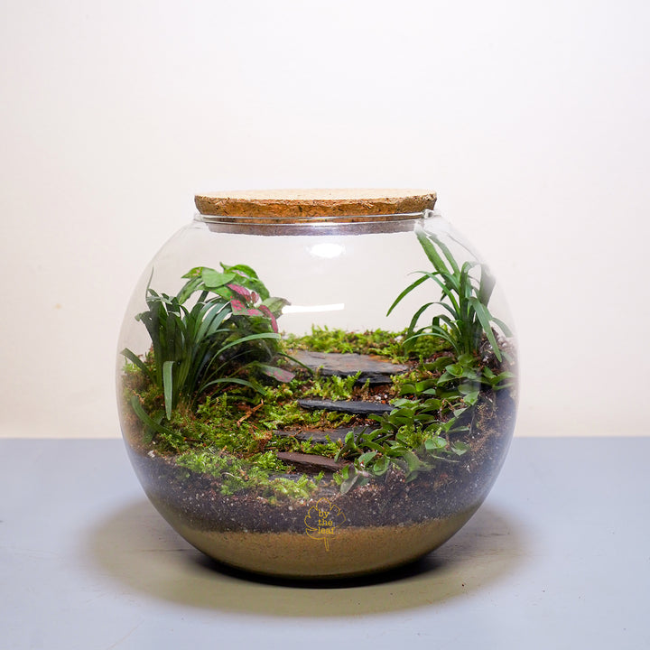 DIY Terrarium Kits | Elevate Your Spaces with DIY Terrarium Kits by By ...