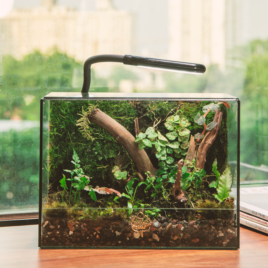 Closed Terrariums | Bring Nature Indoors with ByTheLeaf’s Terrariums ...